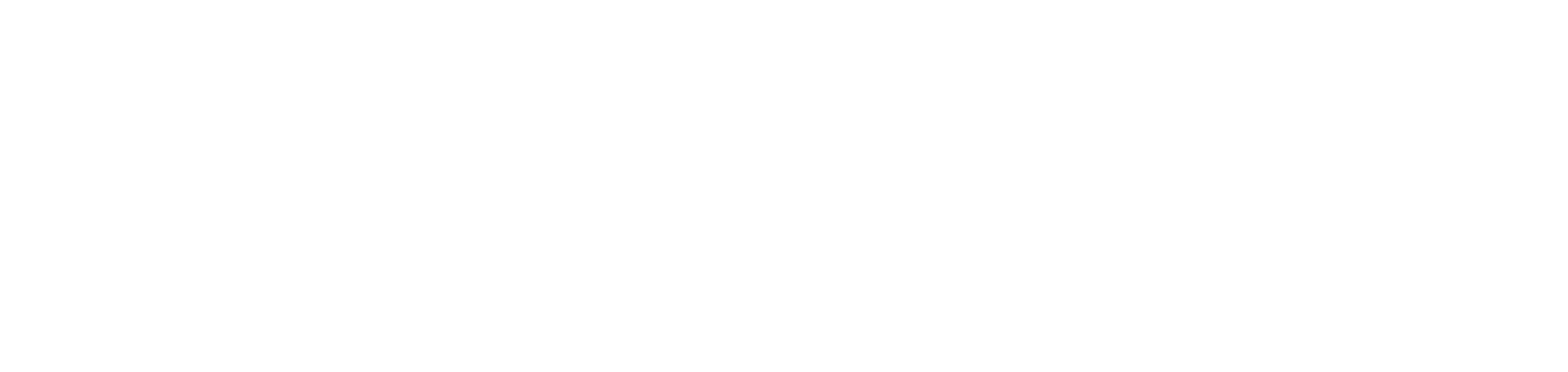 Palletizing & Case Packing Solutions | Schneider Packaging Equipment
