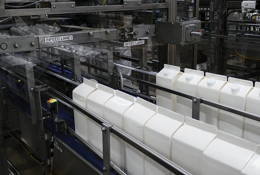 Dairy Case Packer Solutions | Everest
