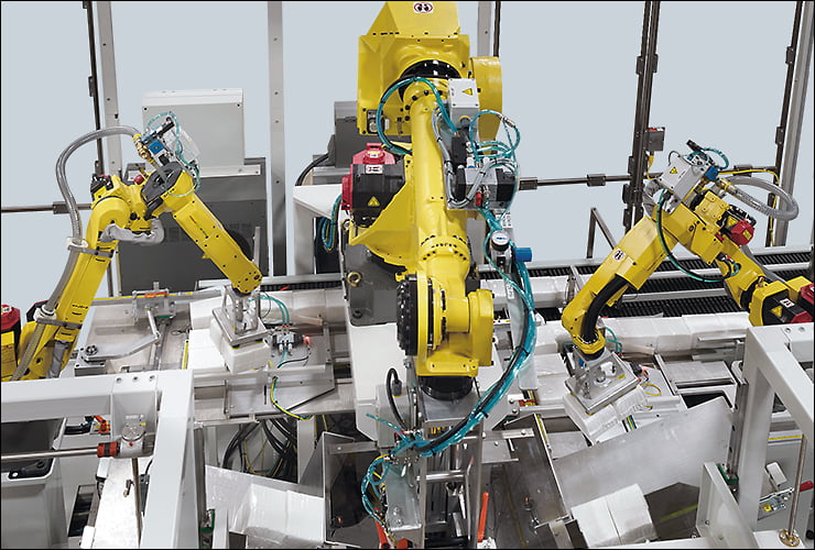 Case Packers & Solutions | Schneider Packaging Equipment