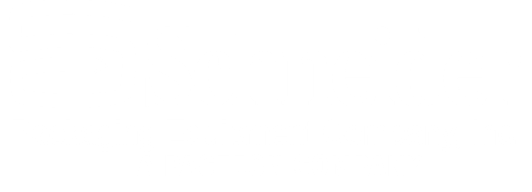 Palletizing & Case Packing Solutions | Schneider Packaging Equipment